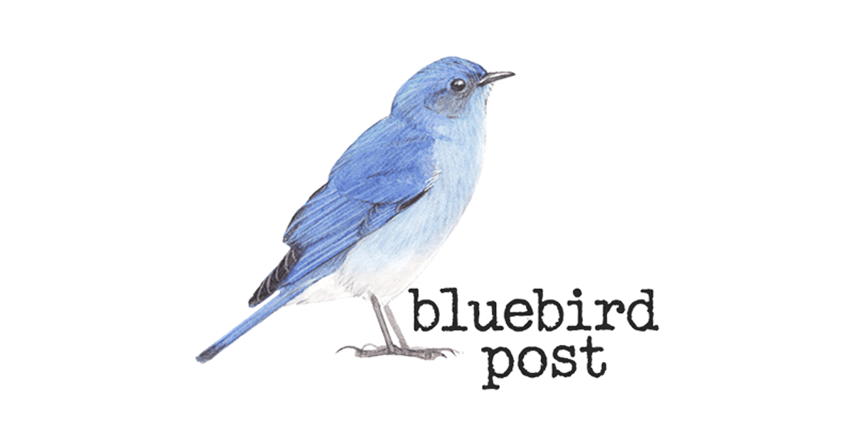 Bluebird Post -- Minimalist Encouragement Cards